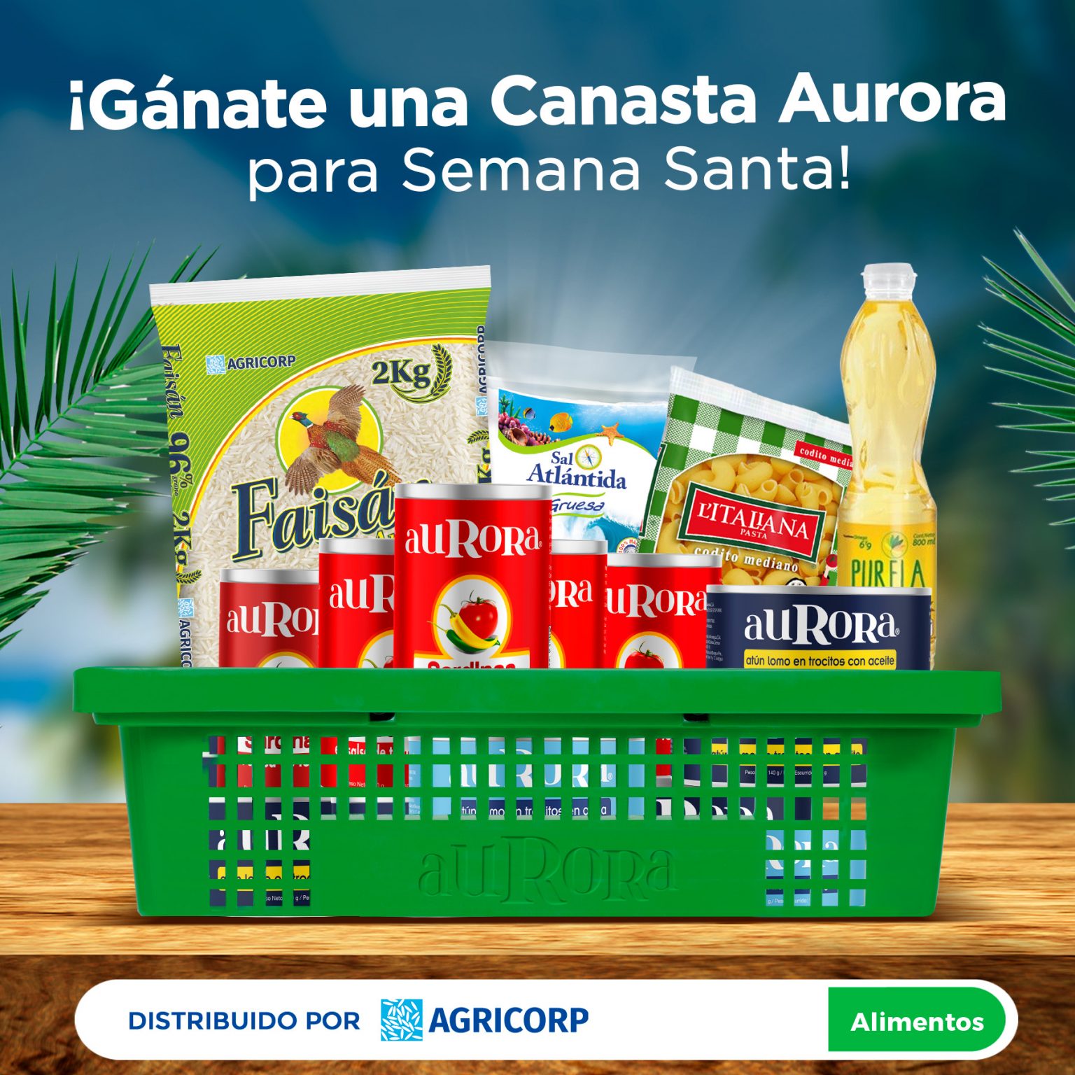 Agricorp – Mejores Productos Para Cada Familia